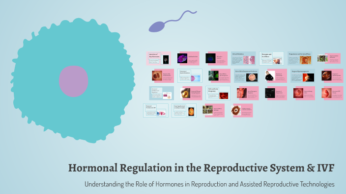 Hormonal Regulation in the Reproductive System & IVF by Yashnoor Singh ...