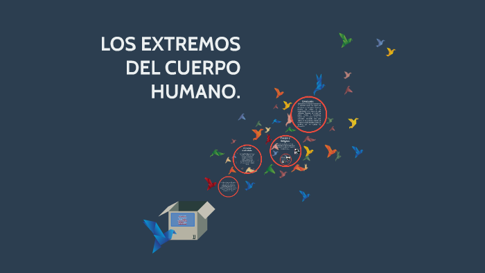 LOS EXTREMOS DEL CUERPO HUMANO. by Camilo Prada on Prezi