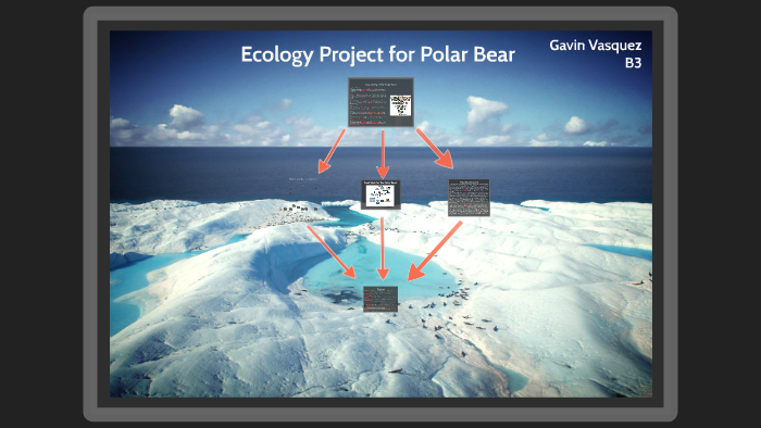 Phylogenetic Tree of a Polar Bear by Gavin Vasquez on Prezi