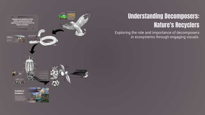 Understanding Decomposers: Nature's Recyclers by stacey goodson on Prezi