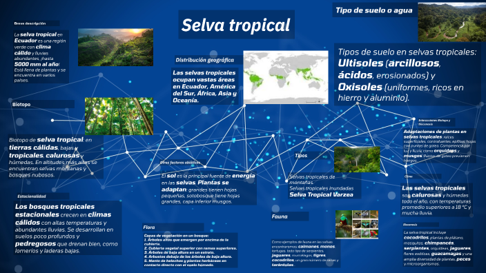 SELVA TROPICAL by IZAN LÓPEZ GÓMEZ on Prezi
