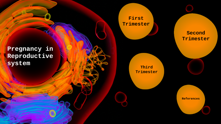 Reproductive System in Pregnancy by Min Cruz on Prezi