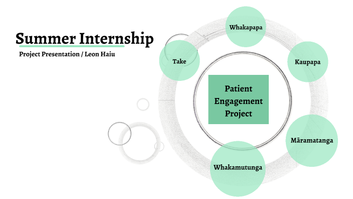 Summer Internship by Leon Haiu on Prezi