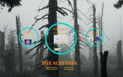 THE ACID RAIN by Marc Magana on Prezi