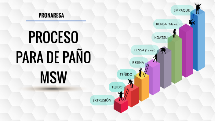 MSW Process by Eduardo Haw on Prezi