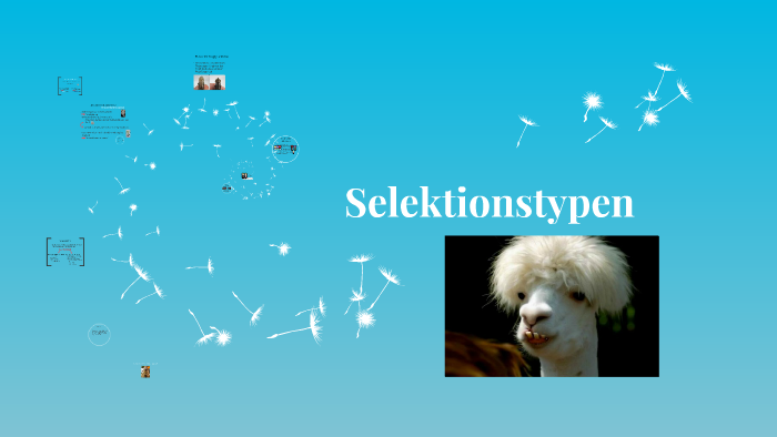 Selektionstypen by Ronja van der Horst on Prezi
