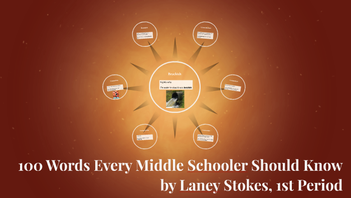 100 Words Every Middle Schooler Should Know by Laney Stokes
