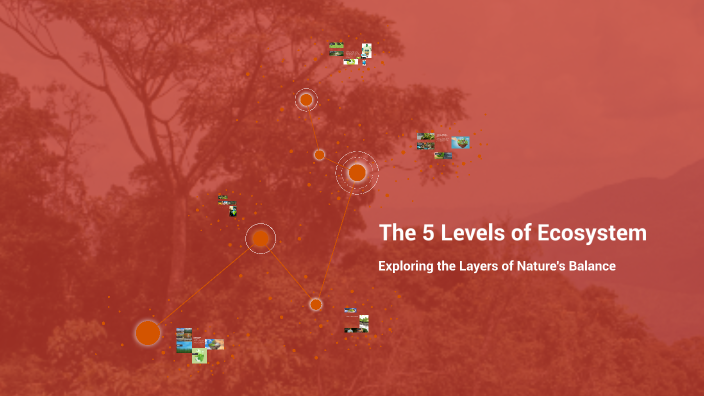 The 5 Levels of Ecosystem by Hernan Blanco on Prezi