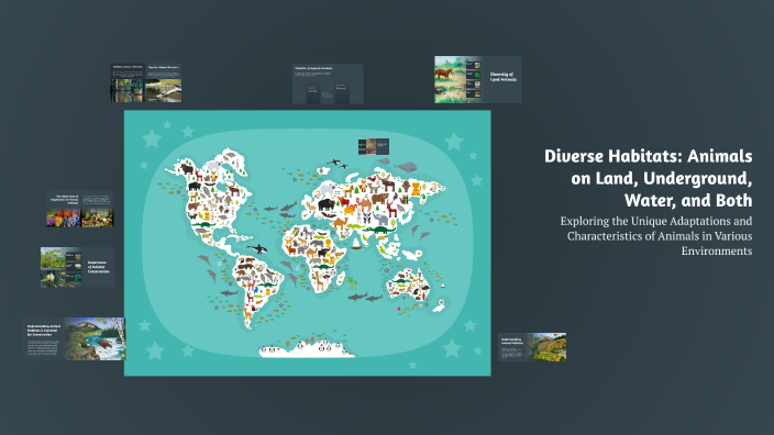 Diverse Habitats: Animals on Land, Underground, Water, and Both by ...