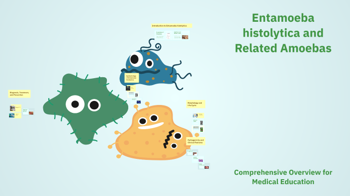 Entamoeba histolytica and Related Amoebas by Deepjyoti Kalita on Prezi