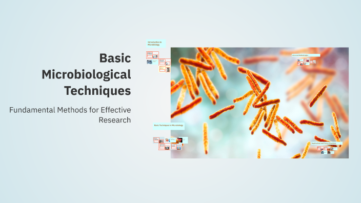 Basic Microbiological Techniques by Lothchie Dahl Nuñez on Prezi