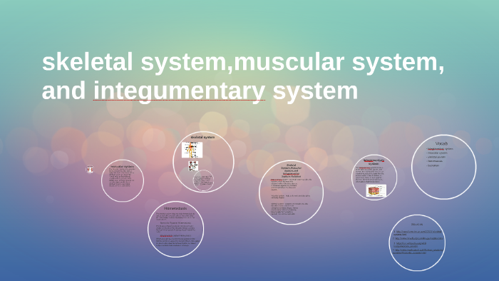 skeletal system,muscular, and integumentarty system by Braeden Helms on ...