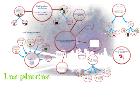 Las plantas by qwerty uiopasdf on Prezi