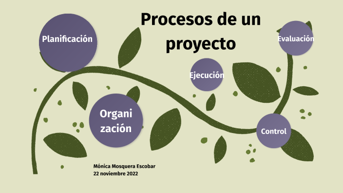 procesos de un proyecto by Monica Mosquera Escobar on Prezi
