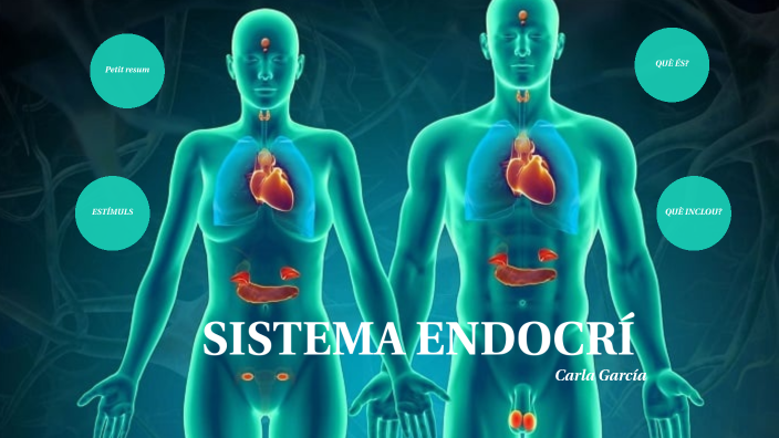 SISTEMA ENDOCRÍ by Carla Garcia Lorenzo on Prezi