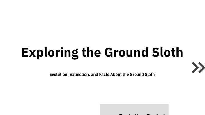 Exploring the Ground Sloth by wayne sae on Prezi