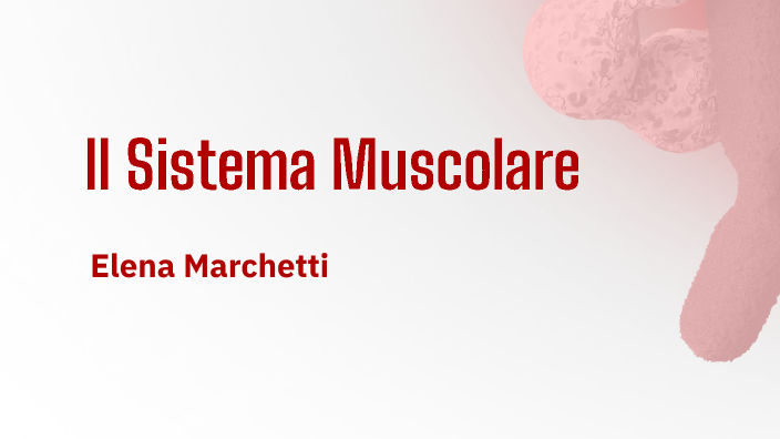 Presentazione sul Sistema Muscolare by Elena Marchetti on Prezi