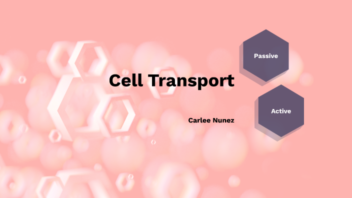 Cell Transport Graphic Organizer by Carlee Nunez on Prezi