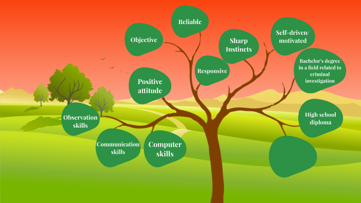 Detective - Career Tree Diagram by AB - 09ZZ 902161 Castlebrooke SS on ...