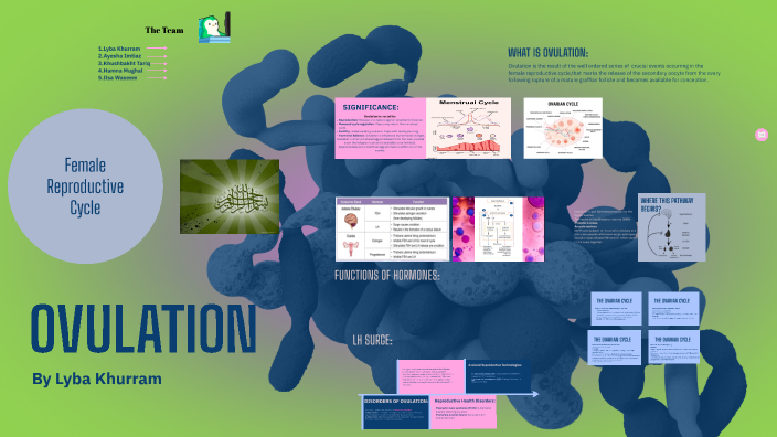 1 Lyba by lyba khurram on Prezi