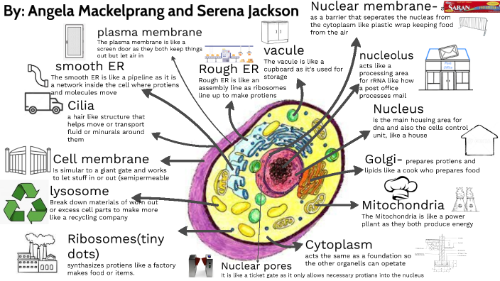 ello by Angela Mackelprang on Prezi
