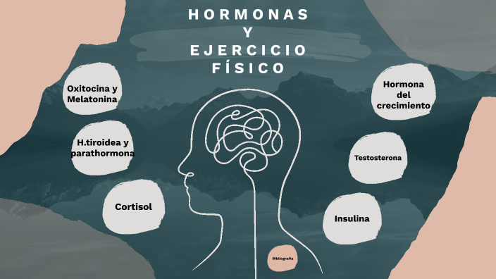 Hormonas En El Ejercicio 2 0 By Matias Flores Ceverino On Prezi