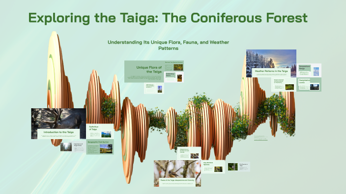 Exploring the Taiga: The Unique Coniferous Forest by david martinez ... Exploring the Taiga: The Unique Coniferous Forest by david martinez ...