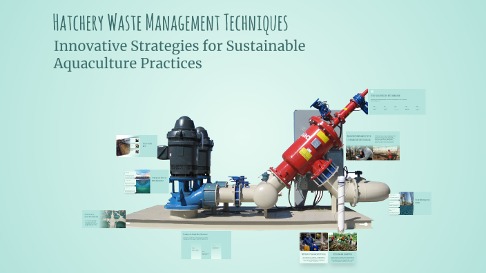 Hatchery Waste Management Techniques by M Jiffry A on Prezi