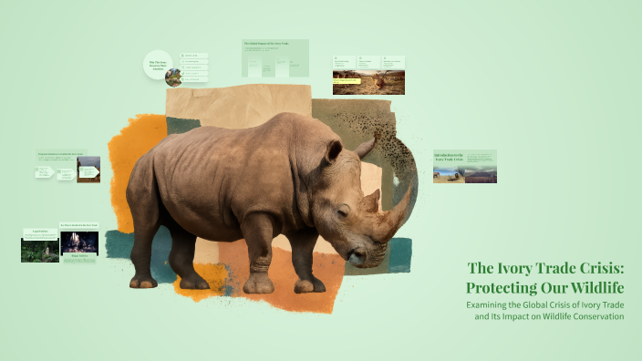 The Ivory Trade Crisis: Protecting Our Wildlife by Noa Popot on Prezi
