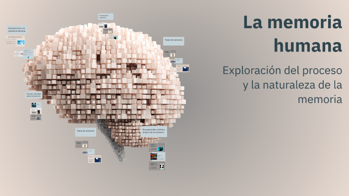 La memoria humana by Alisson Micel Celorio Munoz on Prezi