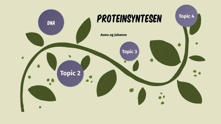 Proteinsyntesen by Asma Abdijabaar Hassan 8Y on Prezi