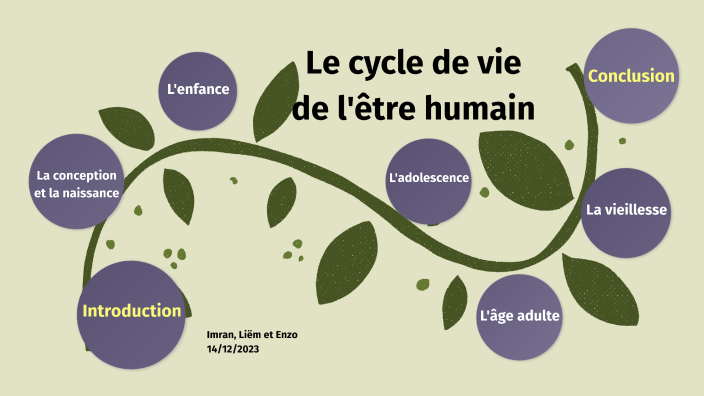 Le cycle de vie de l'être humain by naim bendjebbour on Prezi