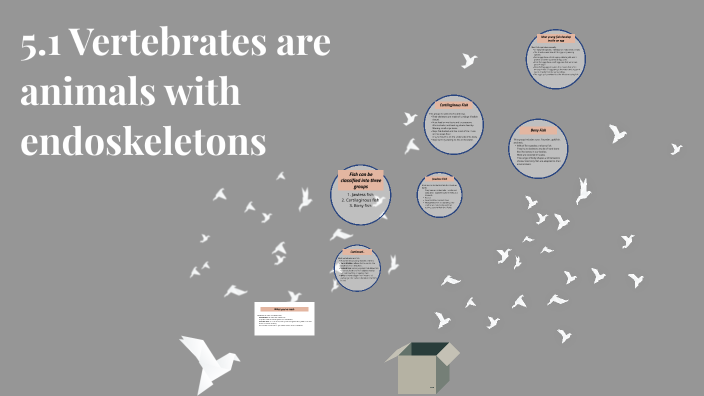 5.1 Vertebrates are animals with exoskeletons by Hannah Knobel on Prezi