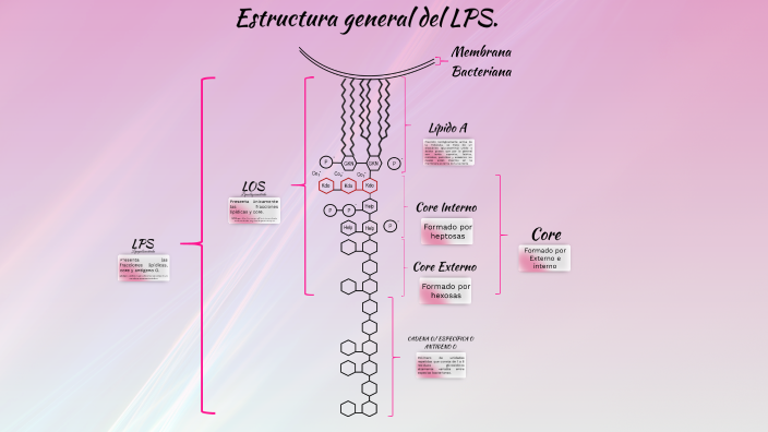 Estructura general del LPS. by Vanesa rozo on Prezi