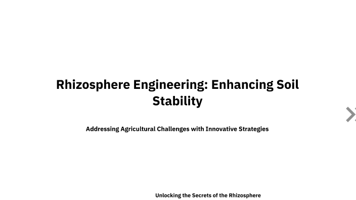 Rhizosphere Engineering: Enhancing Soil Stability by zeinab ghasemzadeh on Prezi