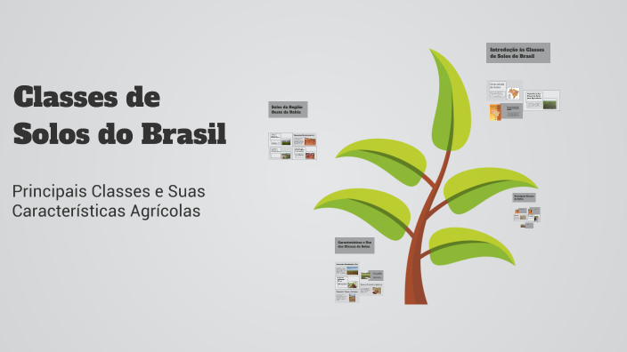 Classes de Solos do Brasil by Diego Antonio de Freitas on Prezi