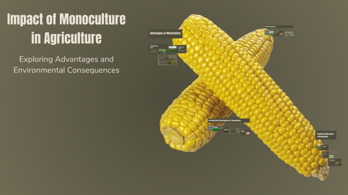 Impact of Monoculture in Agriculture by MariamF Muneer on Prezi