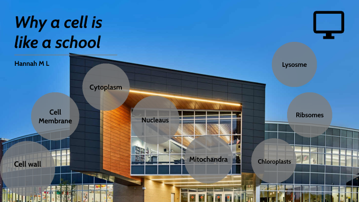 Why a cell is like a school by Hannah Mejia-Laynez on Prezi