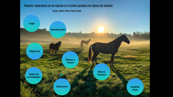 proyecto by Vale Pintos on Prezi