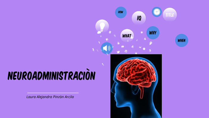 Neuroadministraciòn -funciones ejecutivas del cerebro by laura ...