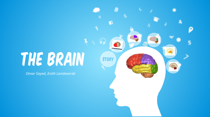 The Brain - Omar Sayed, Enith Landaverde by omar sayed on Prezi