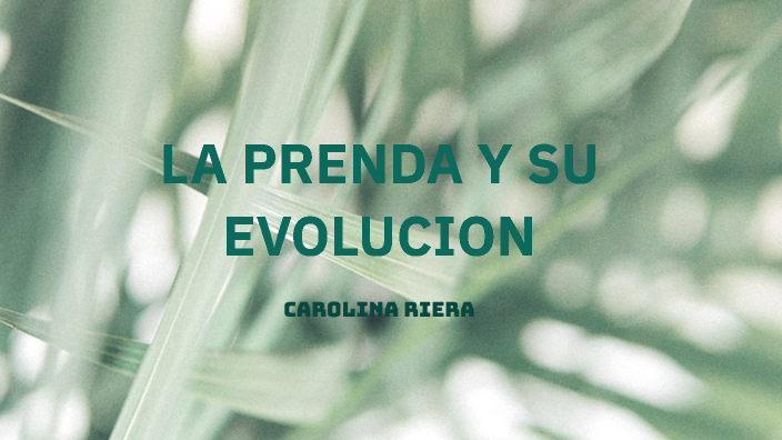 carolina by carolina riera on Prezi