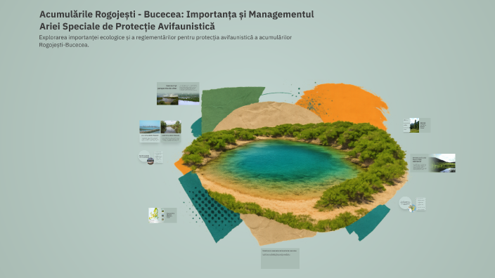 Acumulările Rogojești - Bucecea: Importanța și Managementul Ariei ...