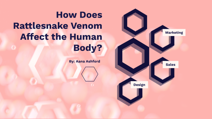 How Does Rattlesnake Venom Affect the Human Body? by Aana Ashford on Prezi