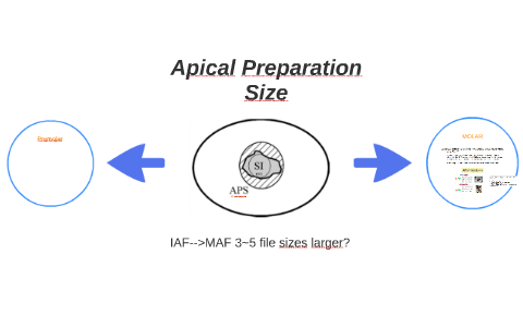 Apical Preparation Size by Martin Ko on Prezi