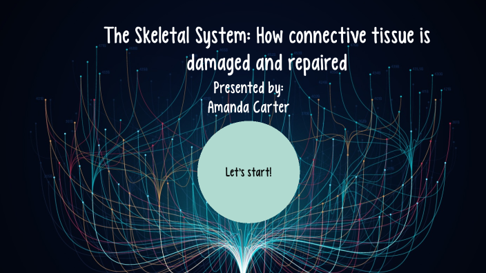 The Skeletal System: How connective tissue is damaged and repaired. by ...
