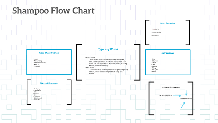 Shampoo Flow chart by savannah smith on Prezi
