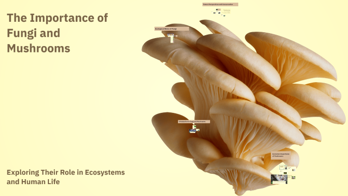 The Importance of Fungi and Mushrooms by Jacob Holbrook on Prezi