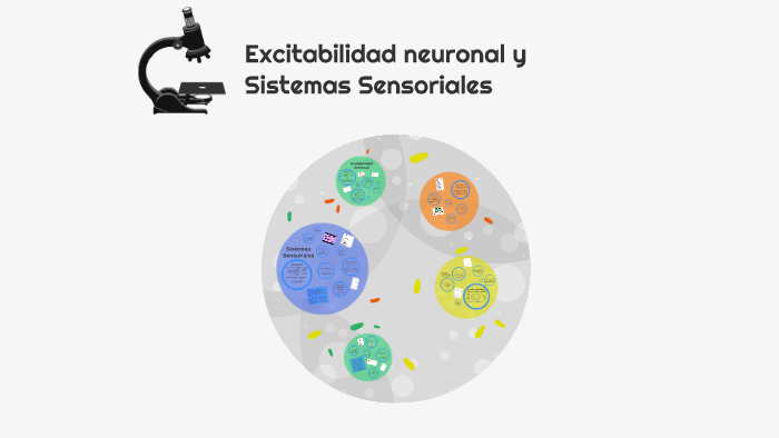 Excitabilidad neuronal y Sistemas Sensoriales by Majo Toraya Barrera on ...