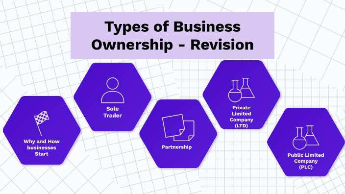 Types of Business Ownership - Revision by Holly Thompson on Prezi